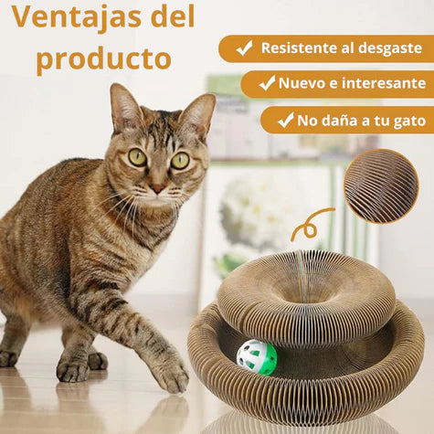 Rascador para Gatos con varias formas | MichiCat – Mis tendencias co